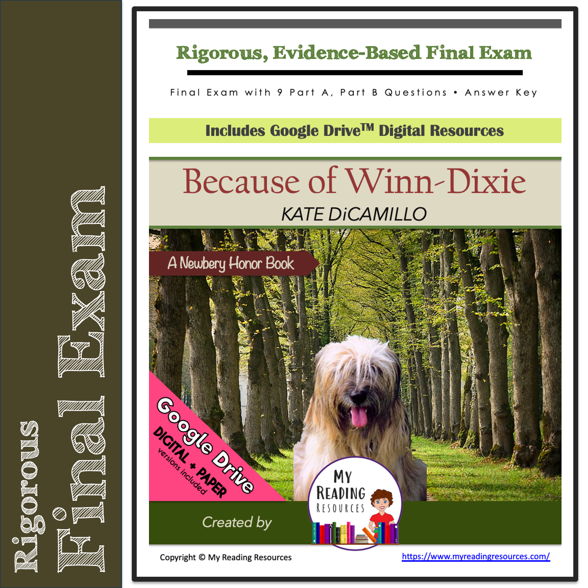 Because of Winn-Dixie Final Exam - My Reading Resources